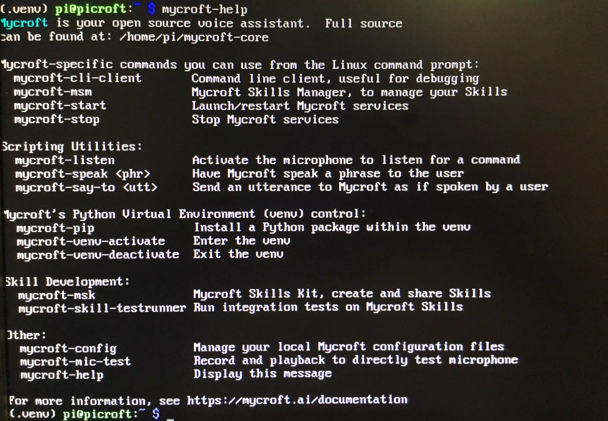 Raspberry Pi پر Mycroft انسٹال کرنے کا طریقہ 6216_15