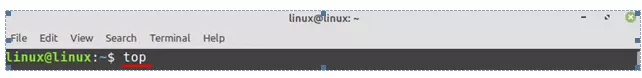 Task Manager Dakọtara na Mint Linux: Onye njikwa ọrụ dị ka ọrụ 624_7