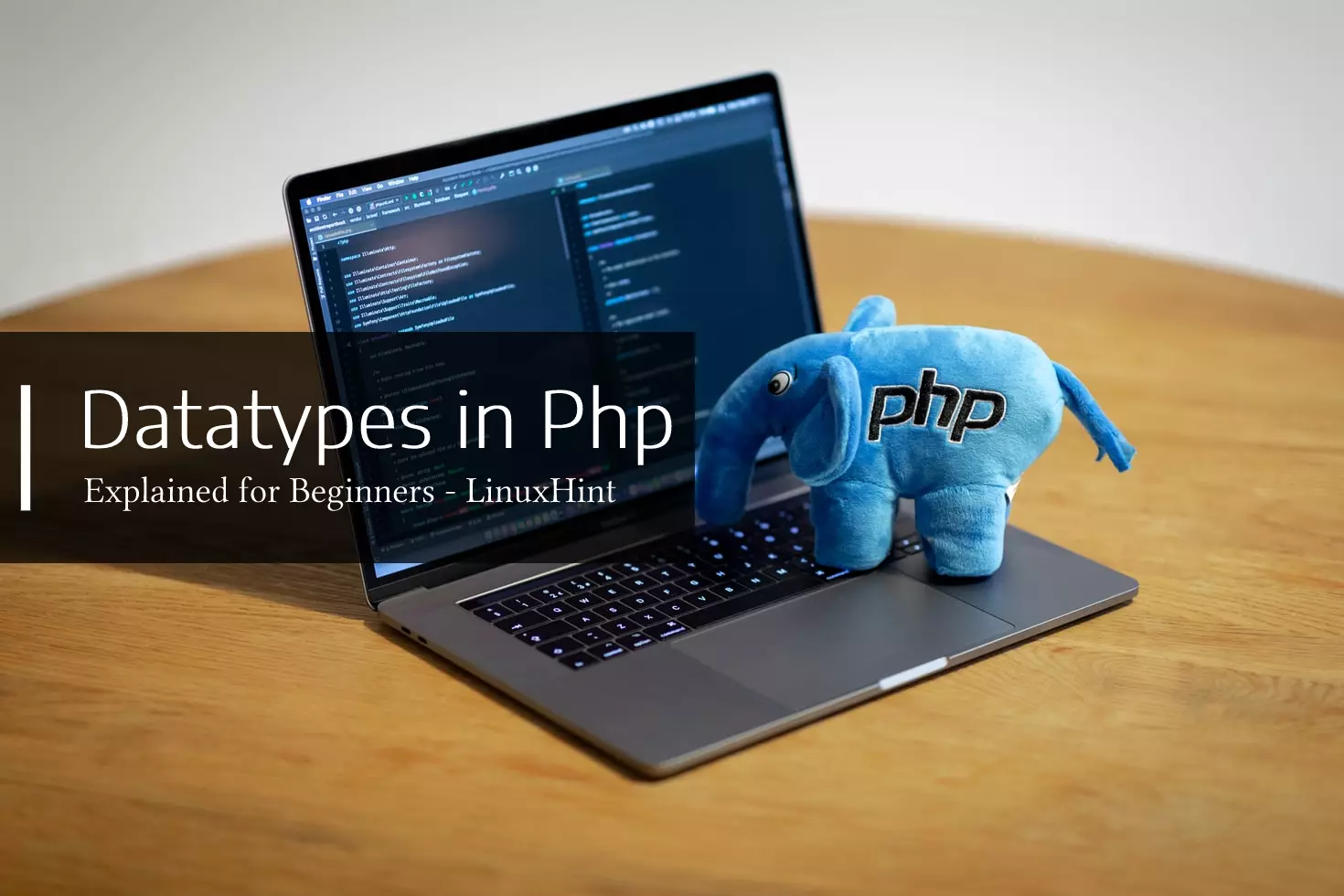 ປະເພດຂໍ້ມູນໃນ PHP | ອະທິບາຍສໍາລັບຜູ້ເລີ່ມຕົ້ນ 6450_1