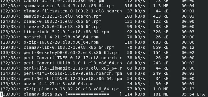 Hvordan installere og bruke CentOS Web Panel på CentOS 8 647_7