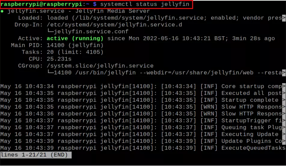 Faka i-Jellyfin ku-Raspberry Pi | Buka imidiya kusuka kusiphequluli sewebhu 6504_7