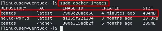 Si të instaloni dhe përdorni Docker në CentOS 8 654_21