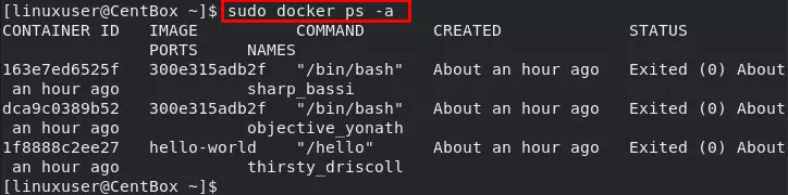 Si të instaloni dhe përdorni Docker në CentOS 8 654_23