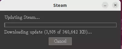 Faʻafefea ona faʻapipiʻi Steam i le Ubuntu 22.04 6552_12