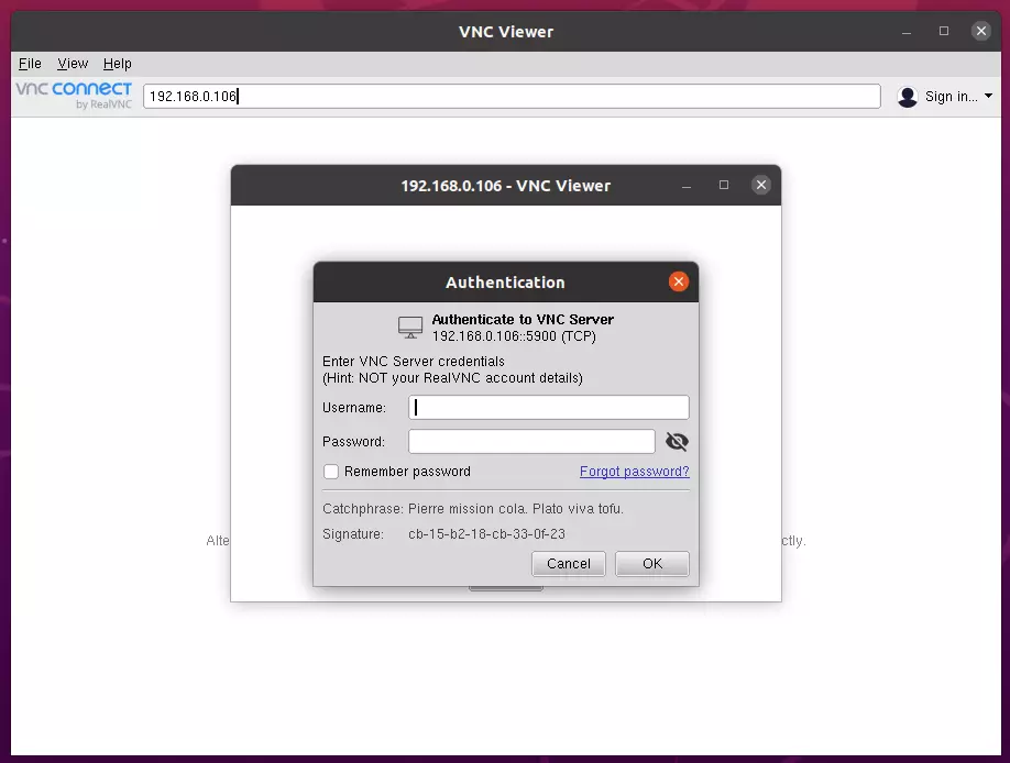 Yadda ake Sanya RealVNC VNC Viewer akan Linux 6655_90