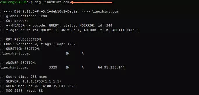 ప్రారంభకులకు DNS: DNS ఎలా పని చేస్తుంది? 6666_4