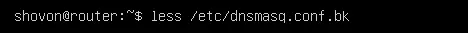 如何在 Ubuntu Server 18.04 LTS 上配置 dnsmasq 6674_32