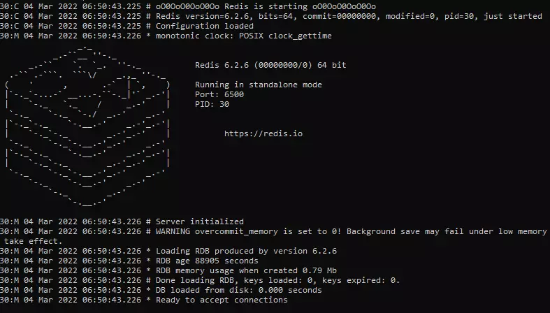 ווי צו האַלטן Redis סערווירער 6906_2