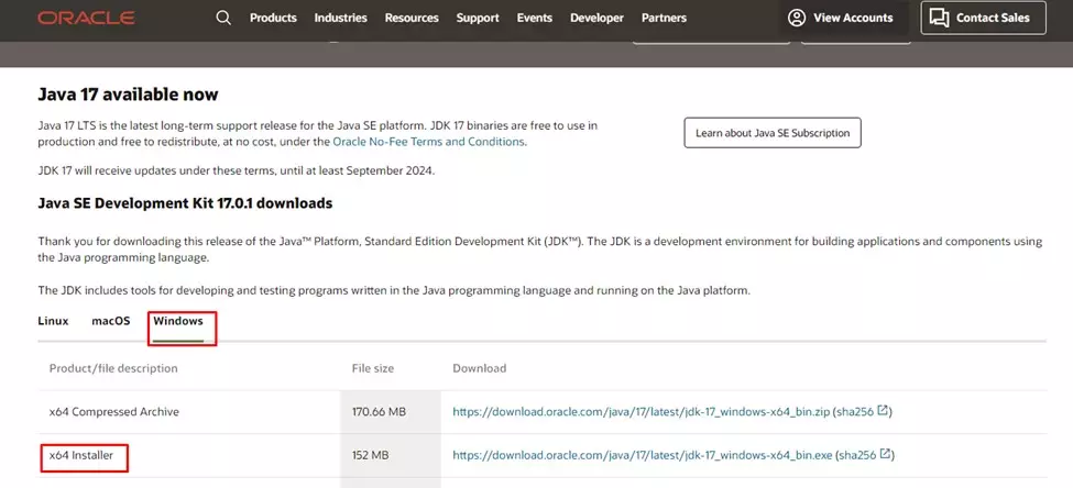 Giunsa ang pag-set up sa Environment para sa Java Programming Language 6954_2