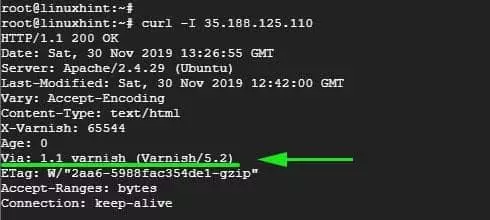 Yuav ua li cas teeb tsa Varnish cache ntawm Ubuntu 18.04 7008_12