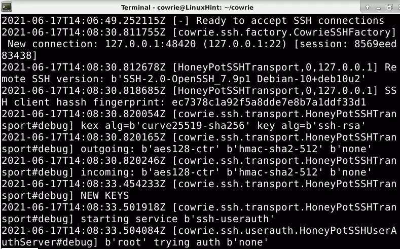 Honeypots u Honeynets 703_15