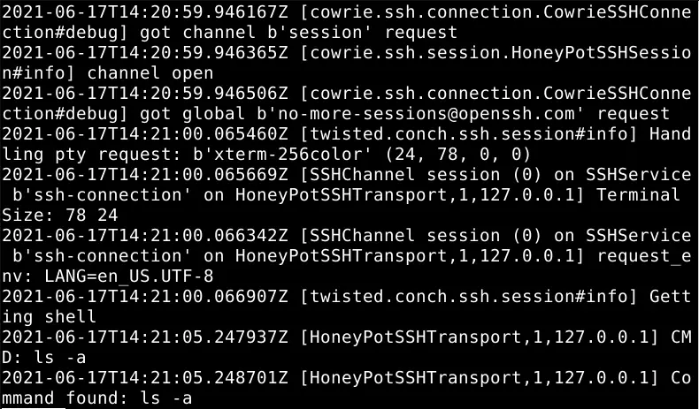 Honeypots u Honeynets 703_20