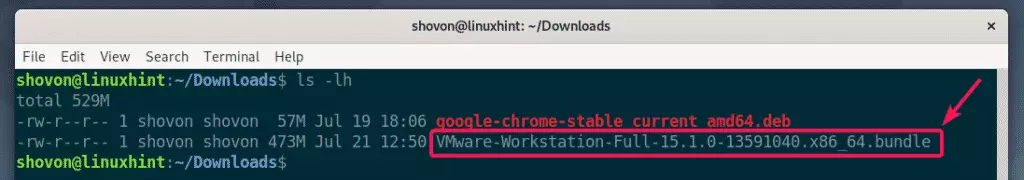 டெபியன் 10 இல் VMware வொர்க்ஸ்டேஷன் ப்ரோவை நிறுவுகிறது 7060_11