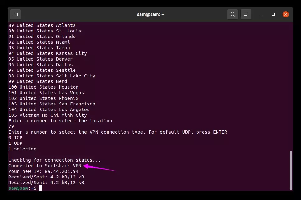 Momwe mungatetezere Ubuntu Linux System ndi SurfShark VPN 7081_9