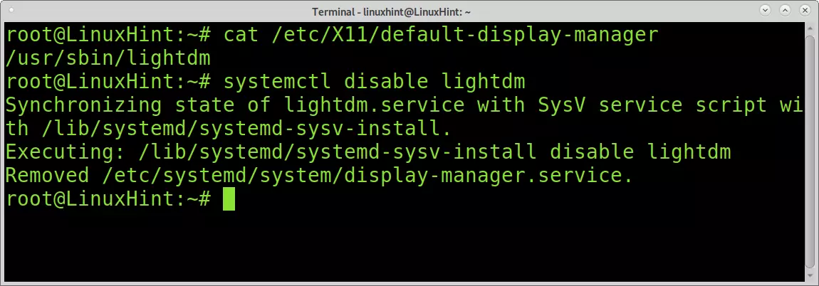 Yuav Ua Li Cas Kuv Tau Txais Lub Terminal los ntawm Grub ntawm Debian 7095_6