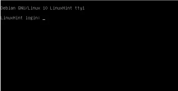 Yuav Ua Li Cas Kuv Tau Txais Lub Terminal los ntawm Grub ntawm Debian 7095_7