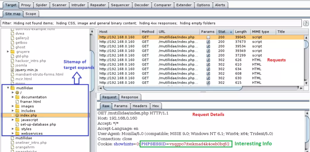 Thupelo ea Burp Suite 714_10