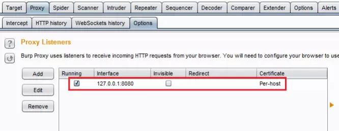 Tutorial de Burp Suite 714_2