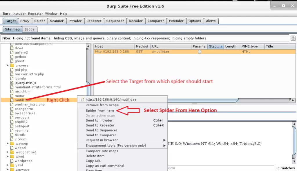 Tutorial de Burp Suite 714_8