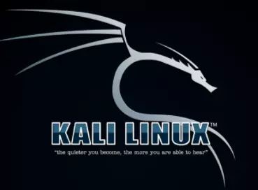 Cele mai bune 11 distribuții Linux pentru programatori 7226_11