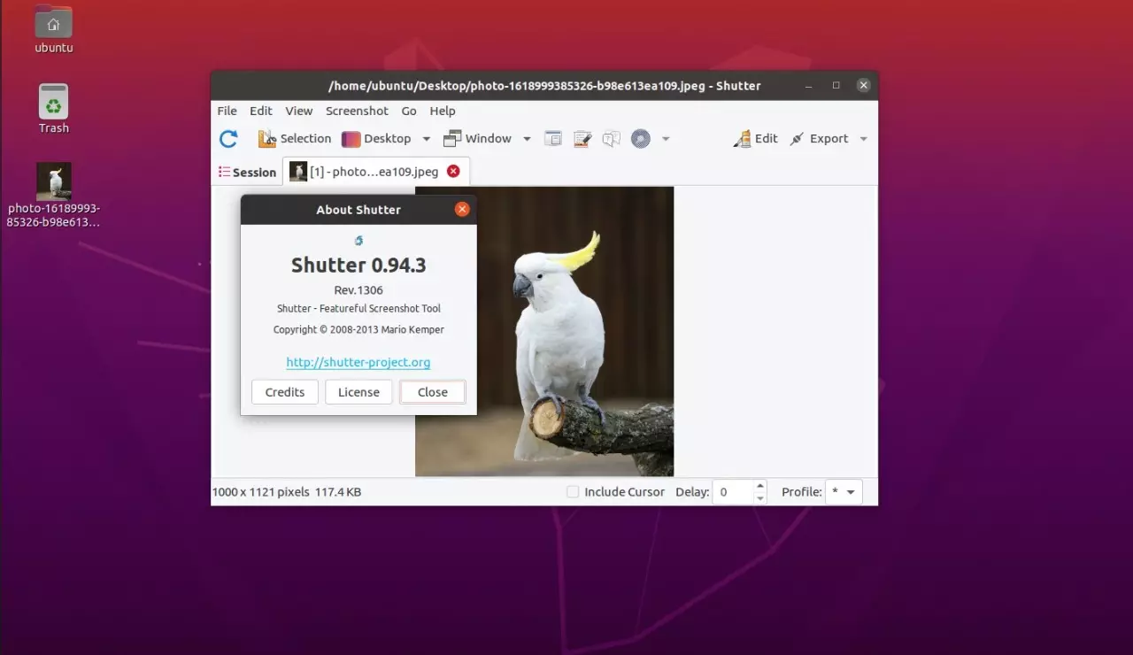 Ubuntuのプリントスクリーンはどのように機能しますか 730_5