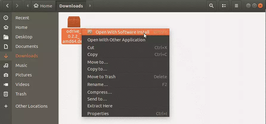 Kumaha masang sareng nganggo ODrive sareng Ubuntu 731_2