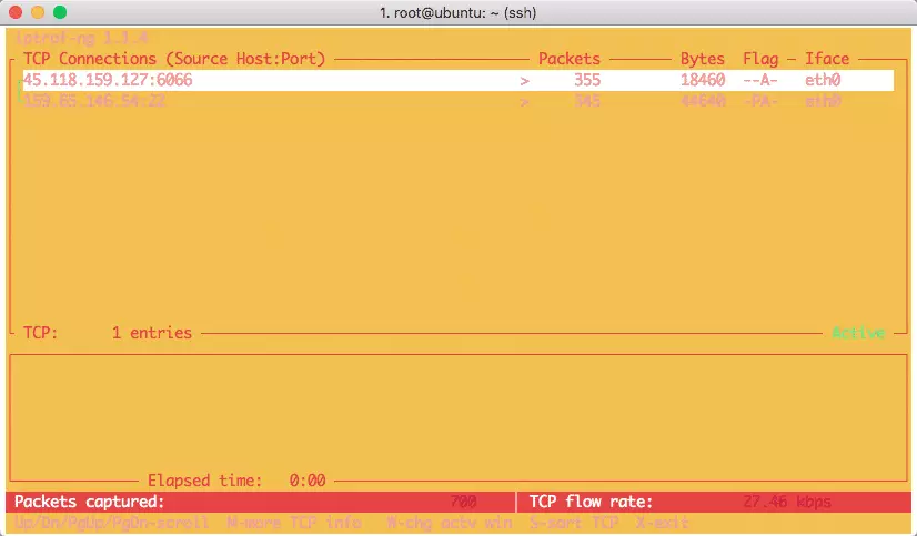 Ubuntu iptraf