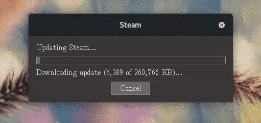 Установіть Steam на OpenSUSE, щоб грати в ігри 7430_11