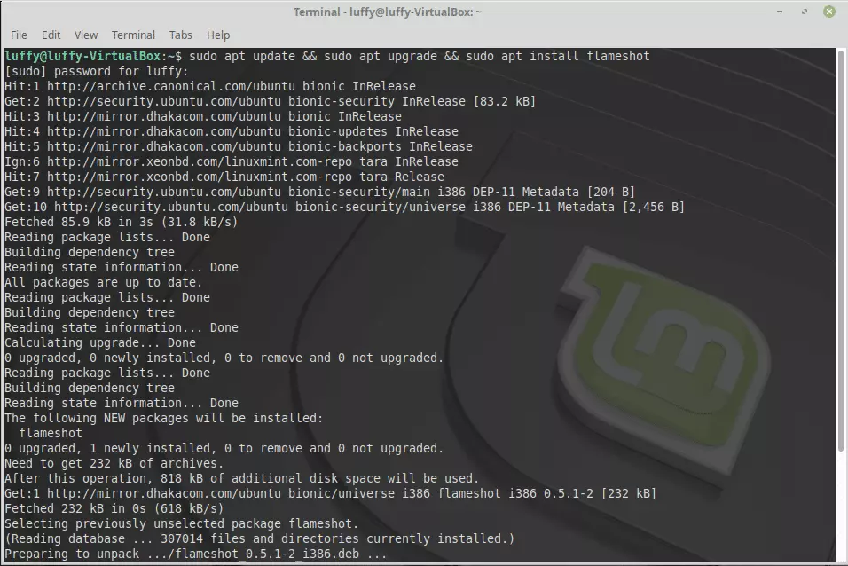 Linux Mint 19లో స్క్రీన్షాట్లను ఎలా తీయాలి 7456_10
