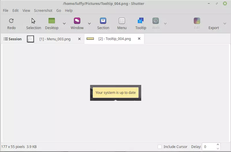 Linux Mint 19-da ekran görüntülərini necə çəkmək olar 7456_5