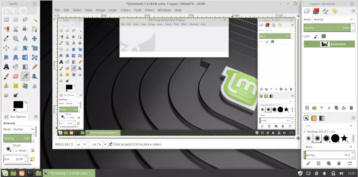 Kako narediti posnetke zaslona v Linux Mint 19 7456_9