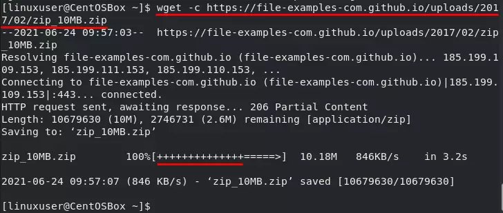 CentOS 8 жүйесінде wget орнату және пайдалану жолы 7485_10