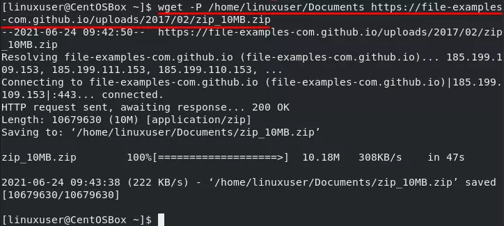 Wget installimine ja kasutamine CentOS 8-s 7485_7