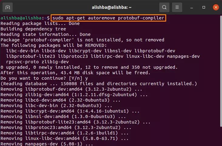 Ahoana ny fametrahana Protobuf amin'ny Ubuntu 7510_4