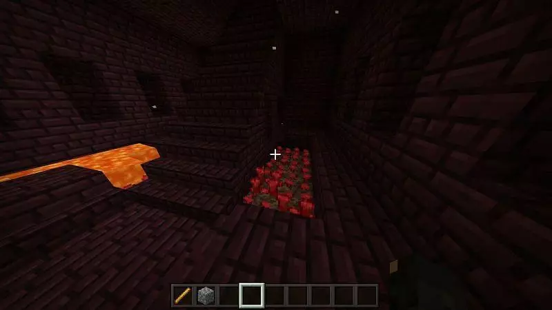 นี่คือ Nether wart ที่คุณต้องใช้ในการปรุงยาเพิ่มความแข็งแรง