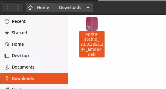 Cum se instalează Opera Web Browser pe Ubuntu 20.04? 7552_4