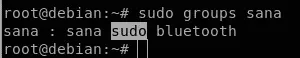 Todo sobre Sudo en un sistema Debian 10 Buster 7554_8