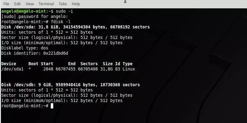 Konfigurasikan LVM pada Linux Mint 7557_2