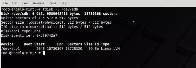 กำหนดค่า LVM บน Linux Mint 7557_4