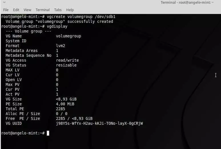 Hazie LVM na Linux Mint 7557_7