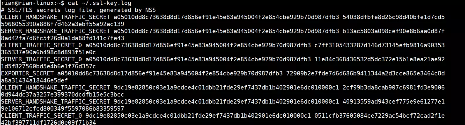 Dešifrování provozu SSL/TLS pomocí Wireshark 7564_6