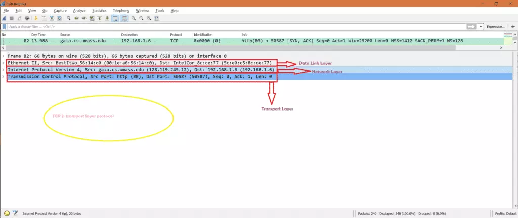 Wireshark аша OSI челтәр катламы анализы 7577_2