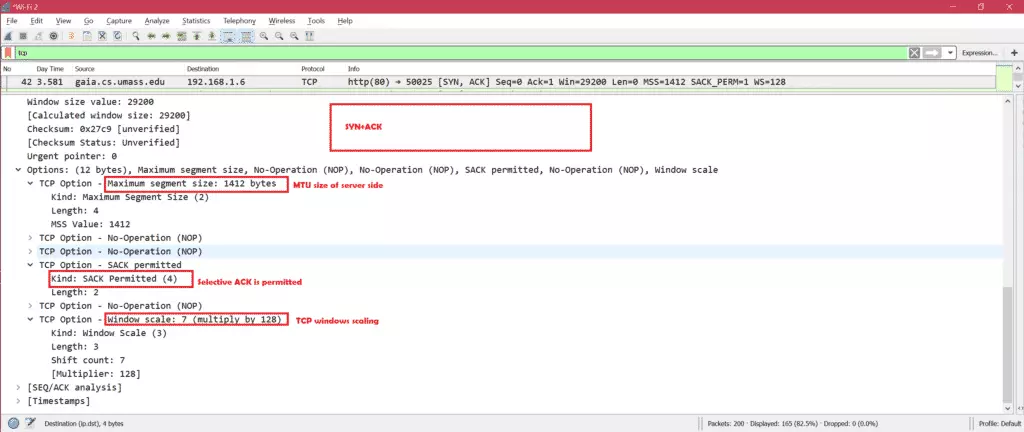 TCP Packet Capture Analysis 7579_5