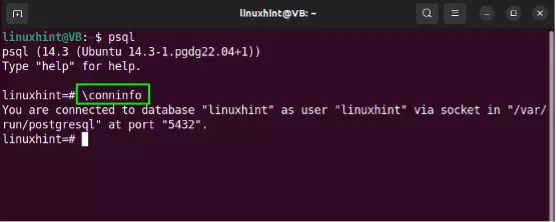 Nigute Kwinjiza no Gushiraho Ububiko bwa PostgreSQL kuri Ubuntu 22.04 75_12