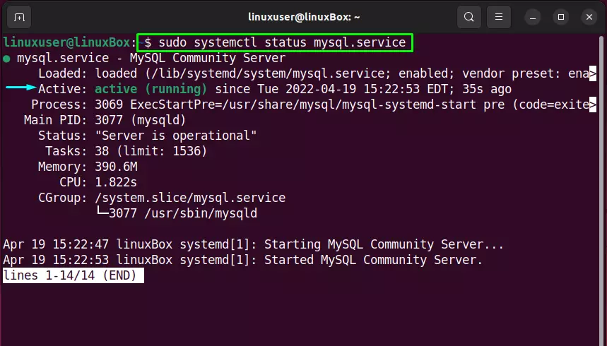 Jinsi ya Kubadilisha Nenosiri la Mizizi ya MySQL katika Ubuntu 20.04 7627_6
