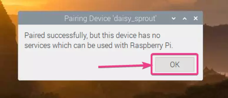 Carane Setup Raspberry Pi Bluetooth 7677_11