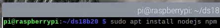 sudo apt installeer nodejs npm