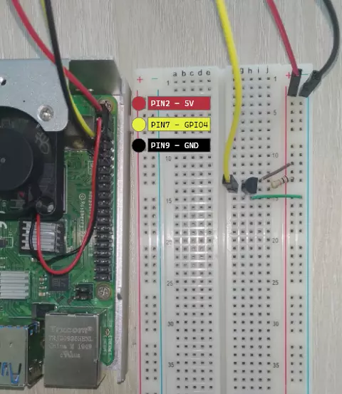 ម្ជុល raspberry 279