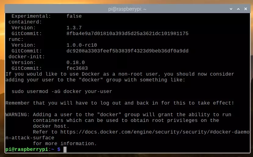 Како да инсталирате Docker на Raspberry Pi 4 7682_13