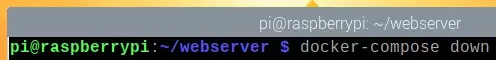 Raspberry Pi 4 жүйесіне Docker орнату әдісі 7682_58
